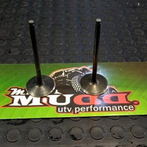 VÁLVULAS DE ESCAPE Y ADMISION - MR MUDD UTV PERFORMANCE