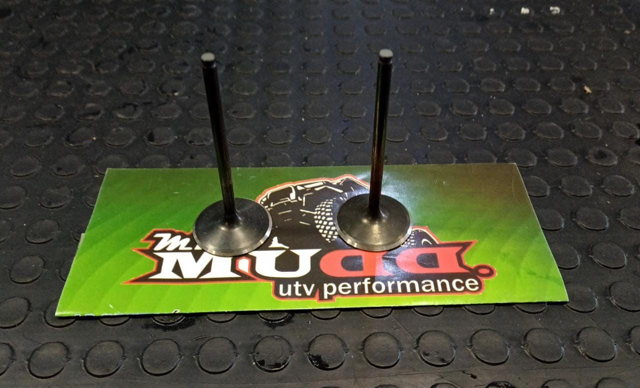 VÁLVULAS DE ESCAPE Y ADMISION - MR MUDD UTV PERFORMANCE