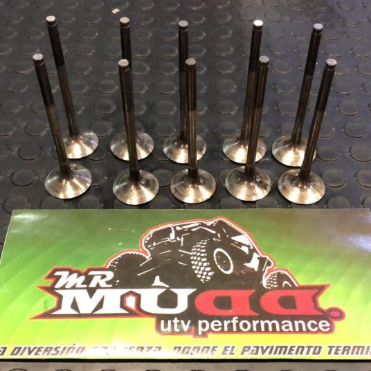 VÁLVULAS DE ESCAPE Y ADMISION - MR MUDD UTV PERFORMANCE